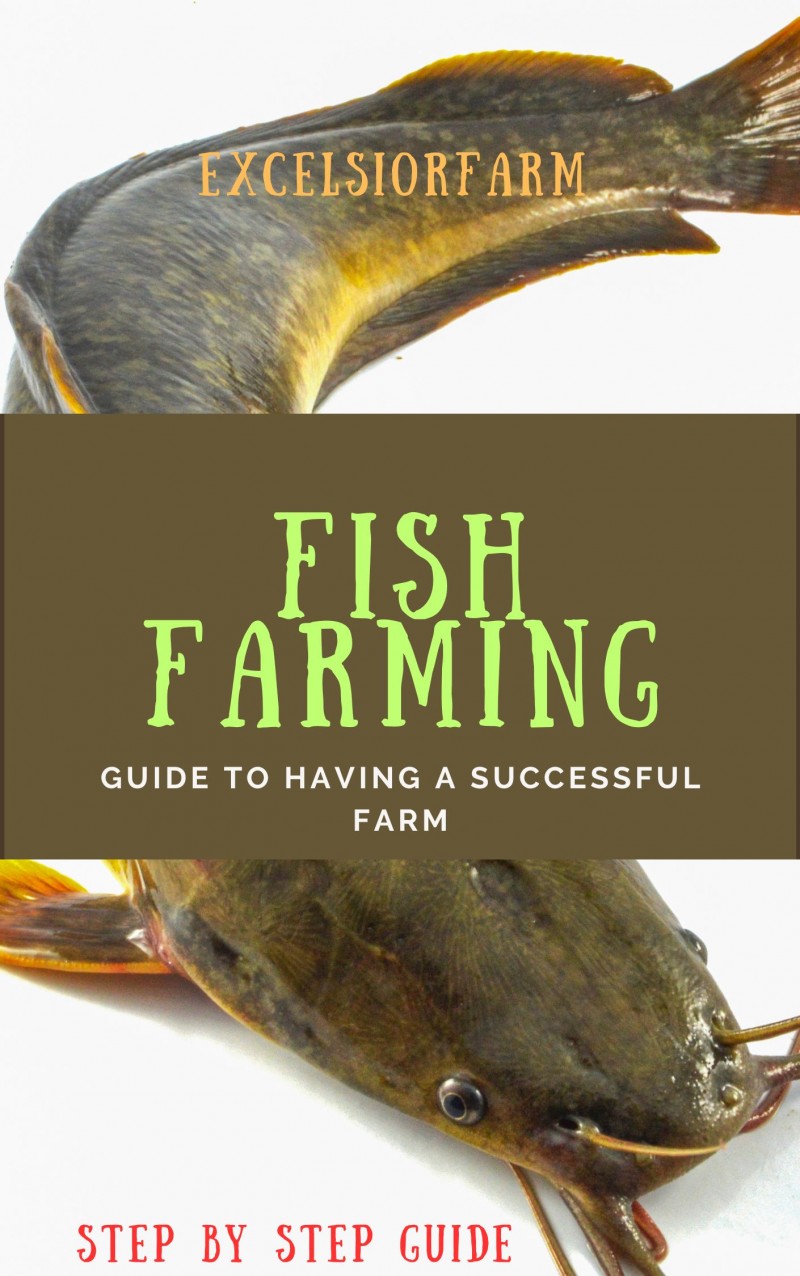 Buy FISH FARMING GUIDE by Alamu Solomon on Selar