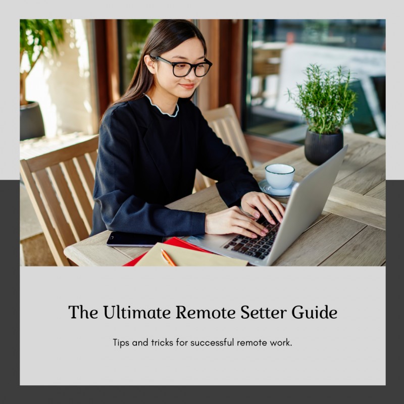 Get Appointment Setter Guide by Appointment Setter on Selar