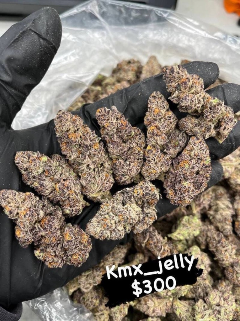 Buy Drug by Alix Toy on Selar