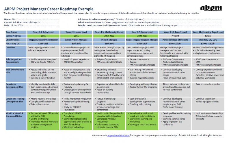 Buy ABPM Career Roadmap (Word - editable) Template by Ask Bukki ...