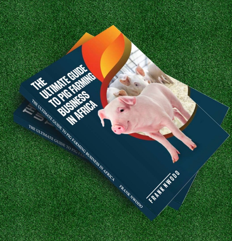 Buy The Ultimate Guide to Pig Farming Business in Africa by Bernoulli ...