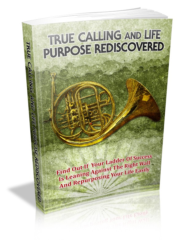 Buy True Calling and Life Purpose Rediscovered by Biblical Intelligence ...