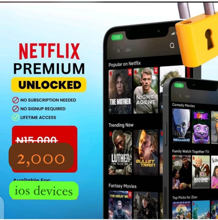 Buy Netflix premium by Che Dominic on Selar