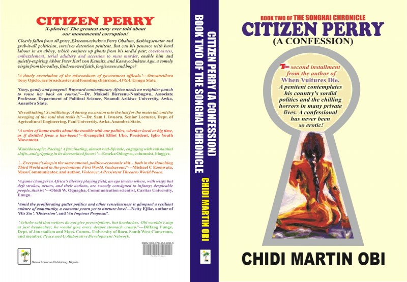 Buy Citizen Perry (A Confession) by chidi martin obi on Selar