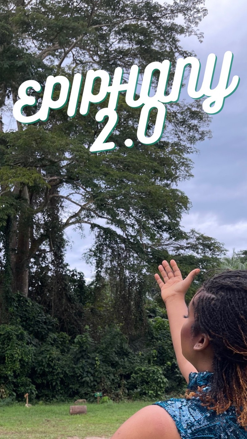 Buy The Epiphany 2.0 by chioma onyiuke on Selar