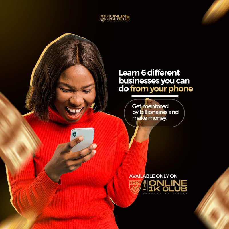 Buy Daily Income Program (AMDIP) with Choice Olaade by Choice Olaade on ...