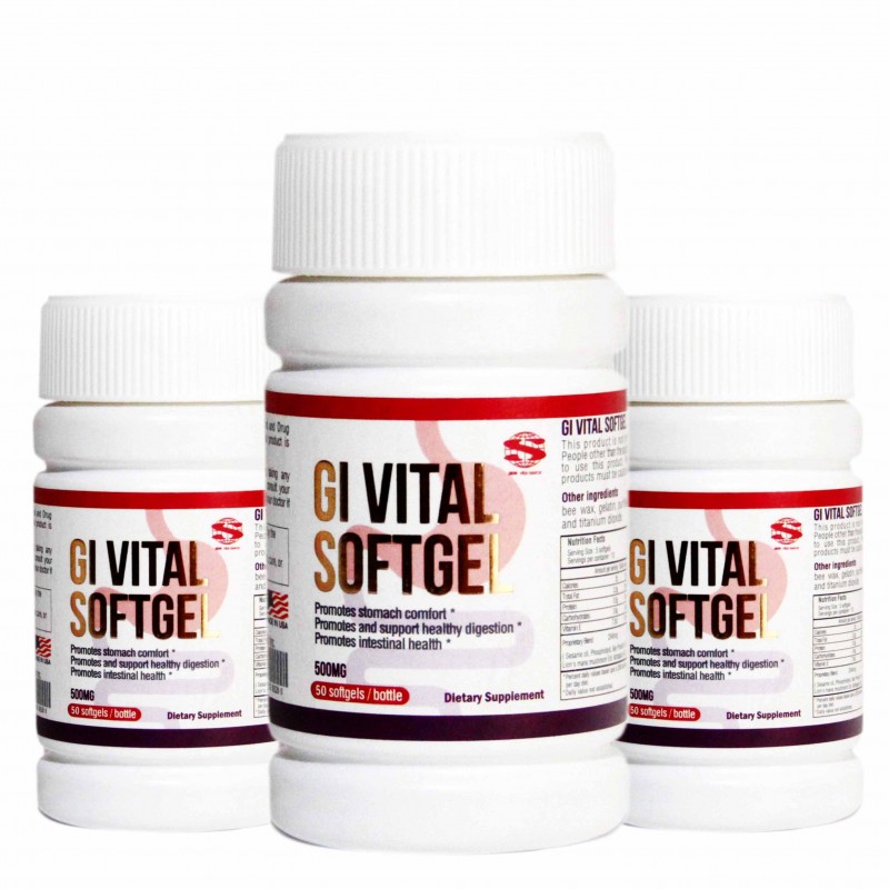 Buy GI Vital Softgel - Complete Norland Treatment Pack For Severe Ulcer ...