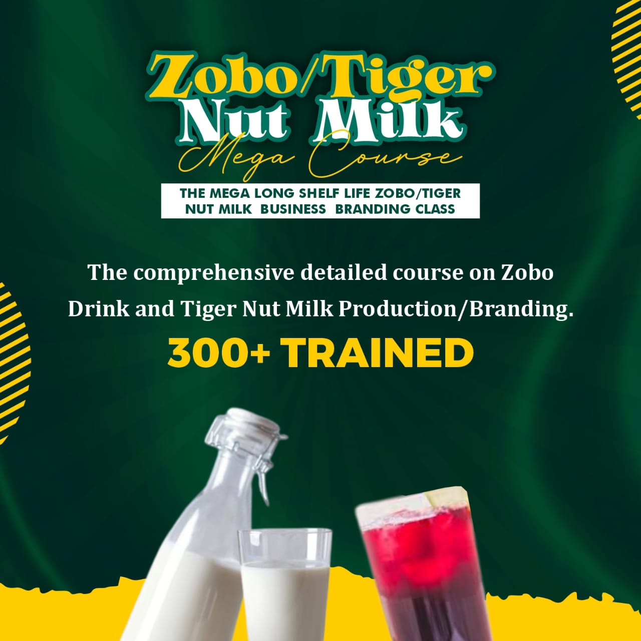 Buy ZOBO TO DAILY PROFIT ALERT ( THE MEGA ZOBO/TIGER NUT MILK BRANDING COURSE by ...