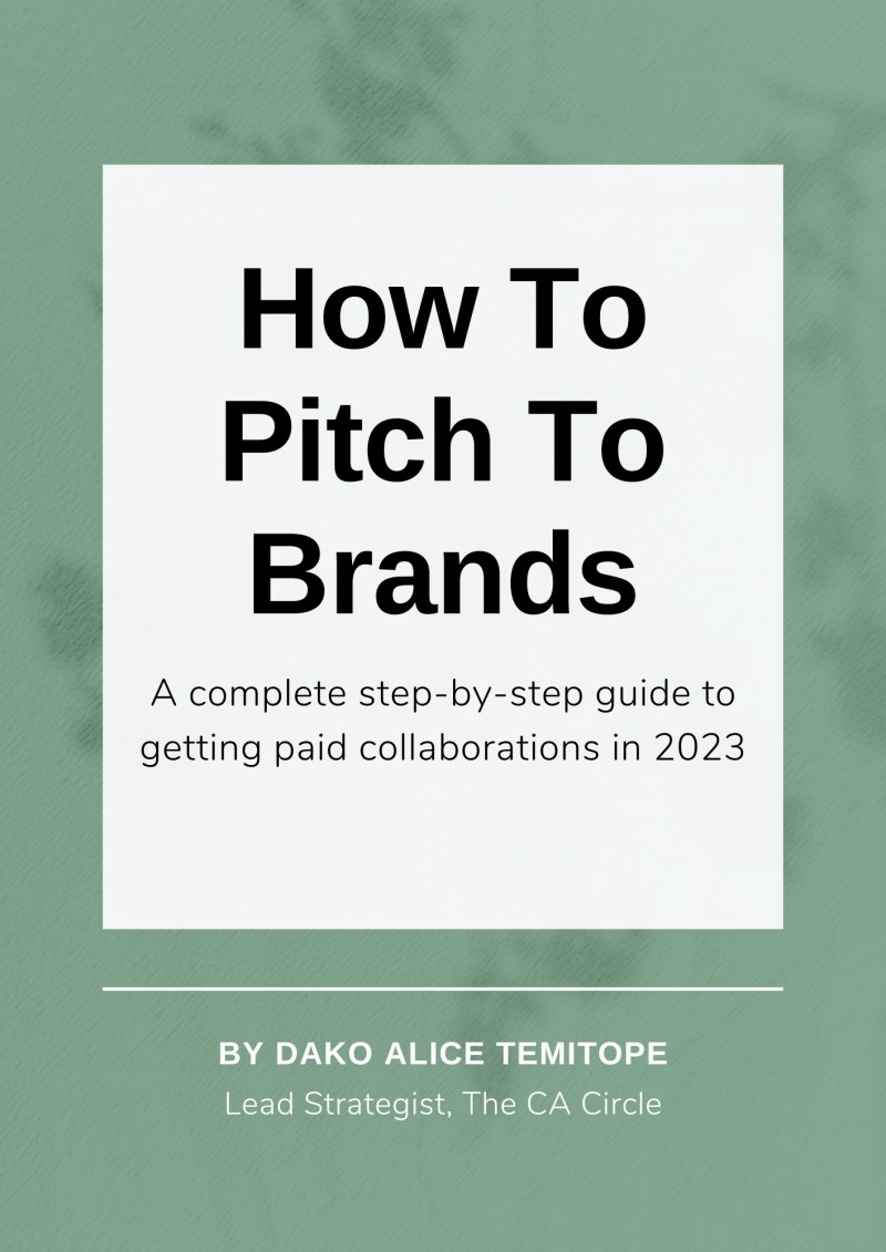 Buy A Step-By-Step Guide On How To Pitch To Brands by The Creative ...