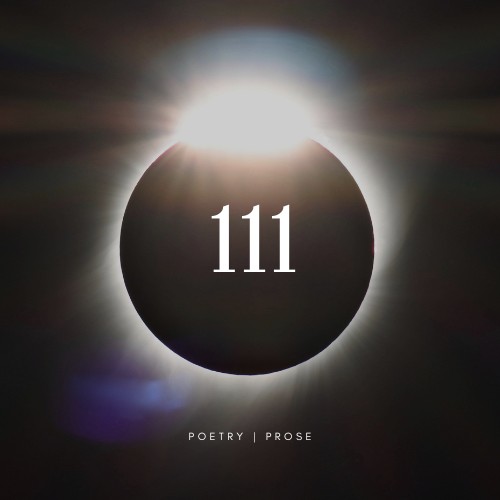 Buy 111 by Daniel Ochu-Baiye on Selar