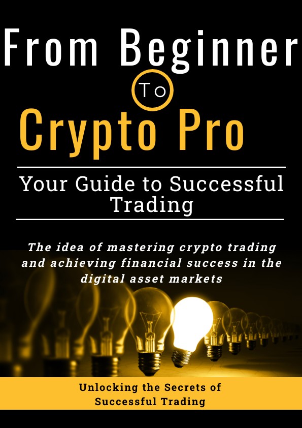 Buy From Beginner to Crypto Pro: Your Guide to Successful Trading by Data-Dreams Depot on Selar