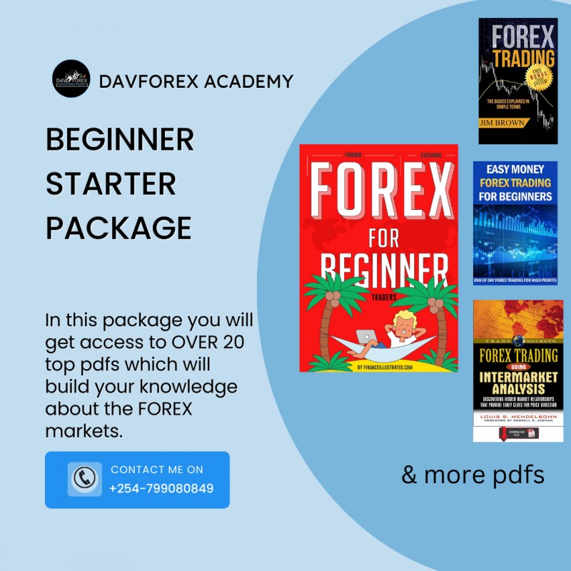 Buy BEGINNER STARTER PACK by DAVFOREX ACADEMY on Selar