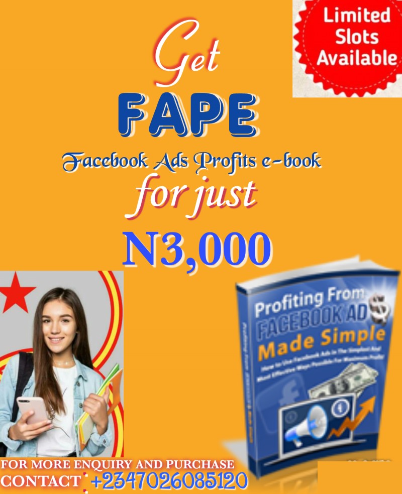 Buy PROFITING FROM FACEBOOK ADS by davidohagwa123 on Selar