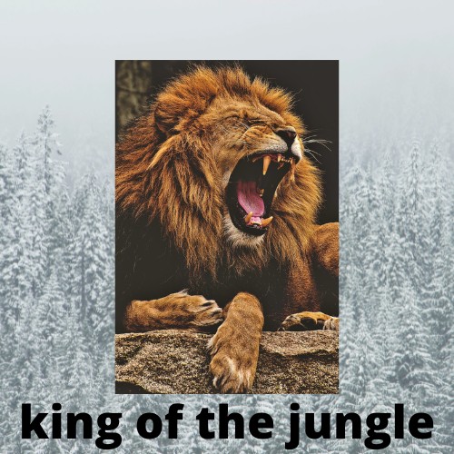 Buy logo by DAVID RUTTO on Selar