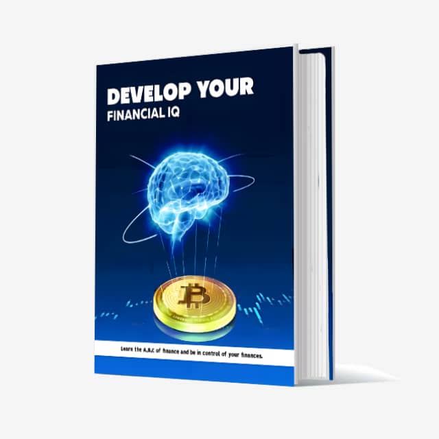 Buy Develop - Your - Financial IQ by DMS DIGITALS on Selar