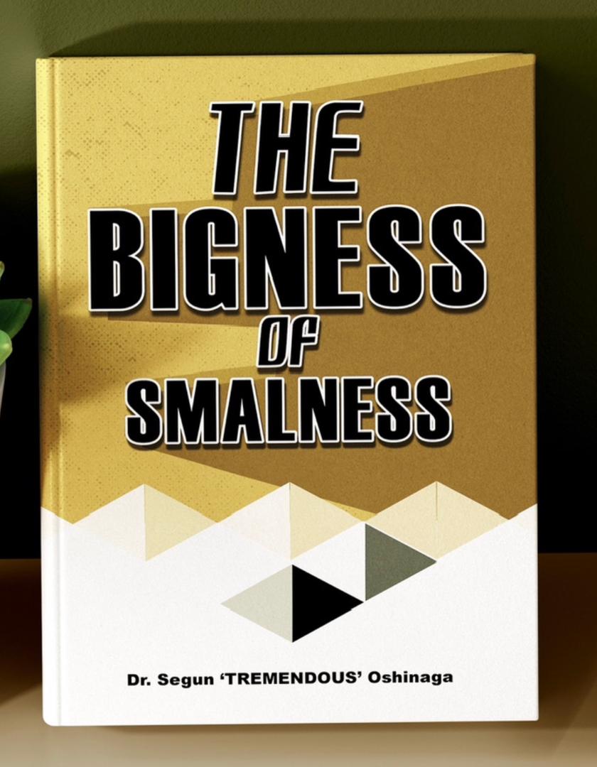 Buy THE BIGNESS OF SMALLNESS by Dr Segun Tremendous Oshinaga on Selar