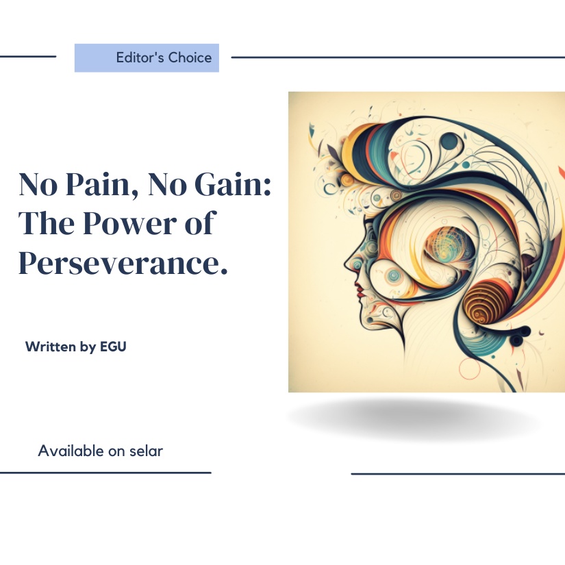 Buy No Pain, No Gain: The Power of Perseverance. by Hassan Egu on Selar