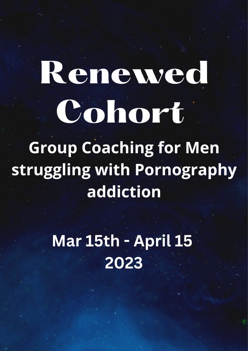 Buy Renewed Cohort - Group Coaching for Men struggling with Porn by Emmanuel Onwuka on Selar