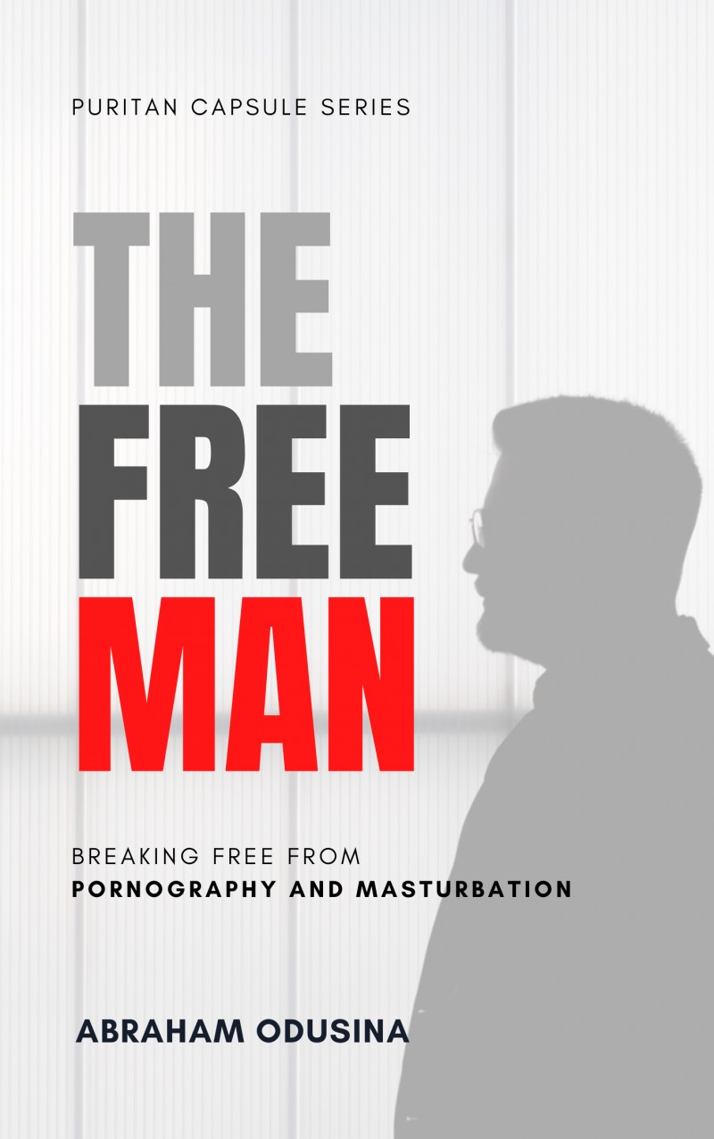 Buy The Free Man by Abraham Odusina on Selar