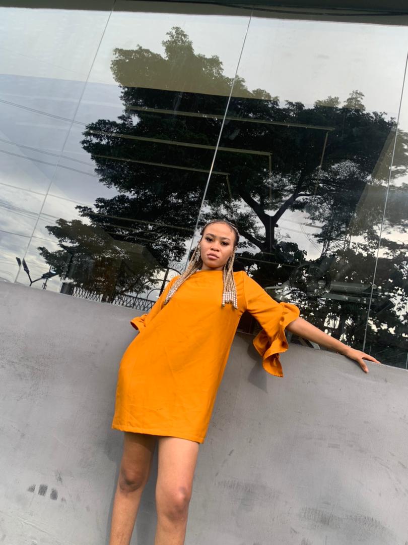 Buy SIERRA DRESS by eva & itohan clothing store on Selar