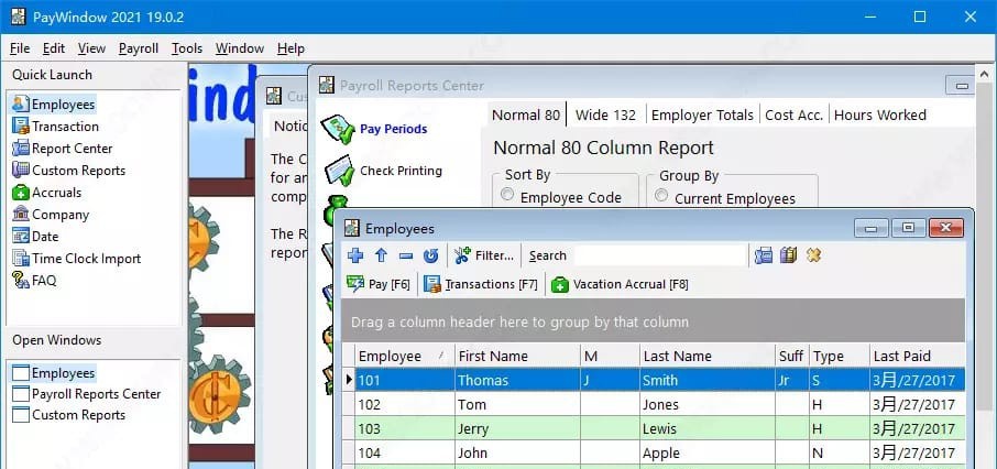 Buy Zpay Paywindow Payroll Software 2022 by G. MediaTechnologies on Selar