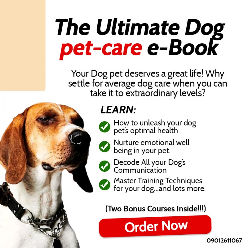 Buy The Complete Dog-Pet Care Guide by Growth Media on Selar