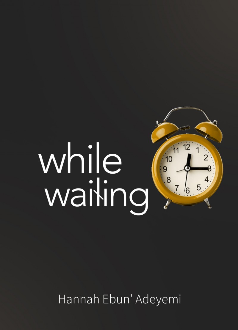 Buy WHILE WAITING by Hannah Ebun’ Adeyemi on Selar