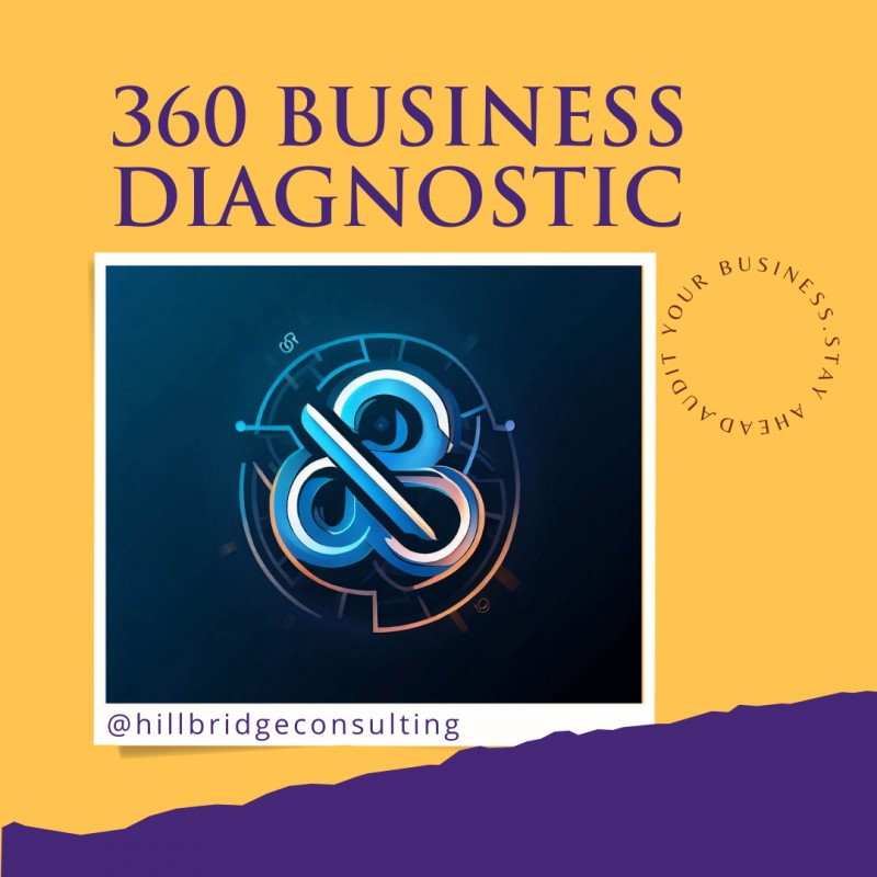 Buy 360 Business Diagnostic by HillBridge Consulting on Selar