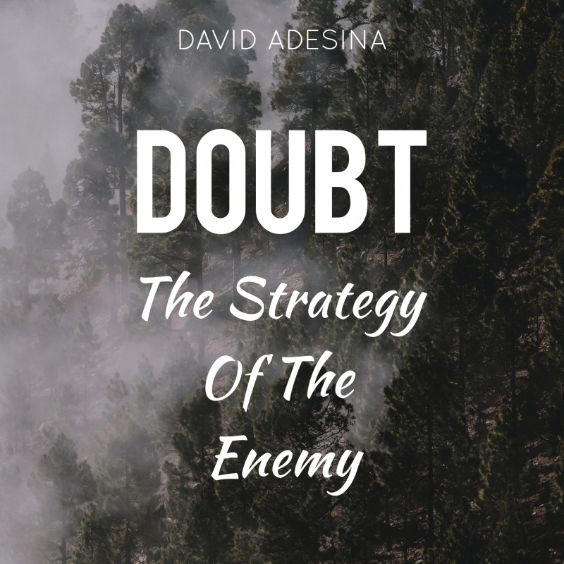 Buy Doubt - The Strategy Of The Enemy by David Adesina on Selar
