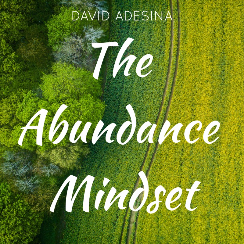 Buy The Abundance Mindset by David Adesina on Selar