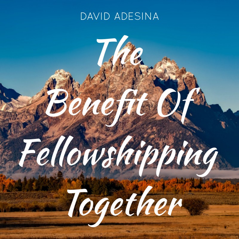 Buy The Benefit Of Fellowshipping Together by David Adesina on Selar