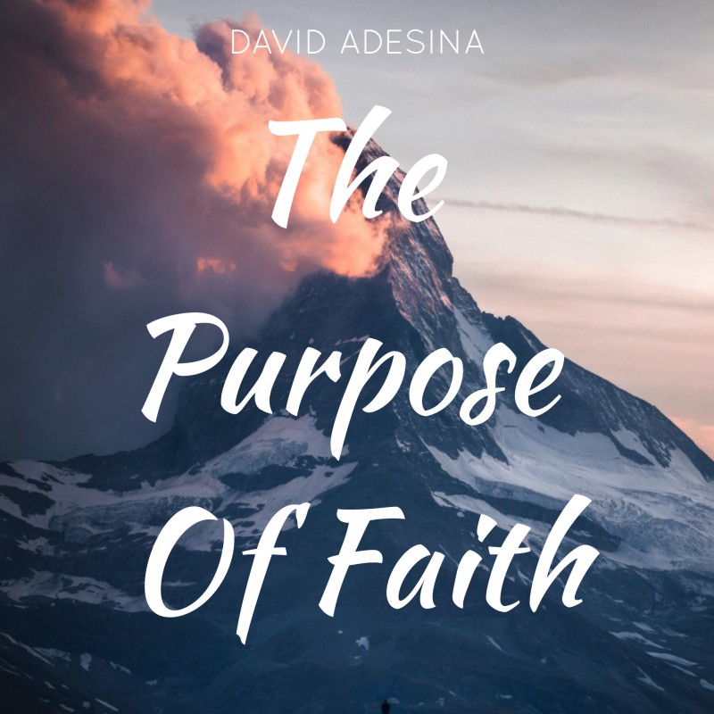 Buy The Purpose Of Faith by David Adesina on Selar