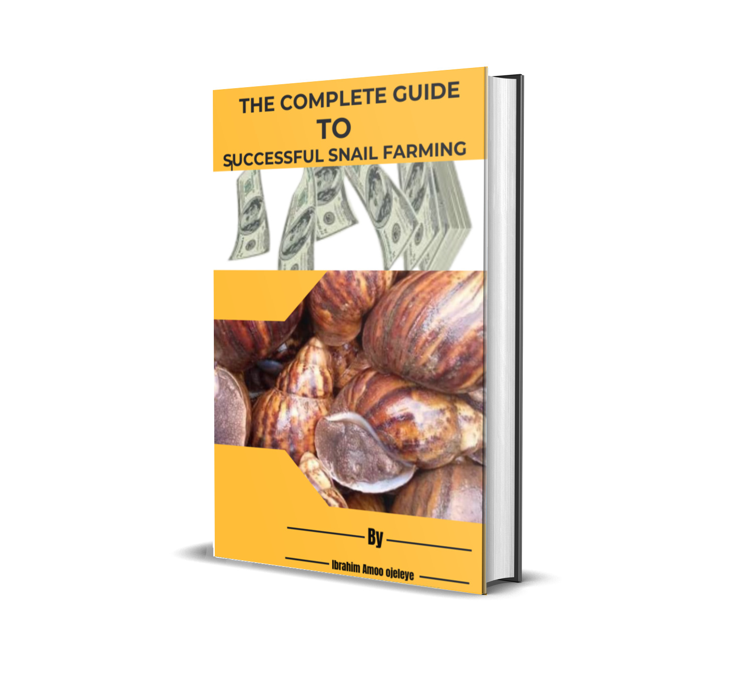 Buy THE COMPLETE GUIDE TO SUCCESSFUL SNAIL FARMING by Ibrahim Amoo ojeleye on Selar