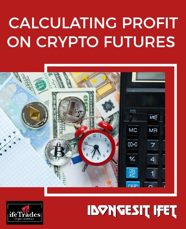 Buy CALCULATING PROFIT ON CRYPTO FUTURES by Idongesit Victor Akpan on Selar