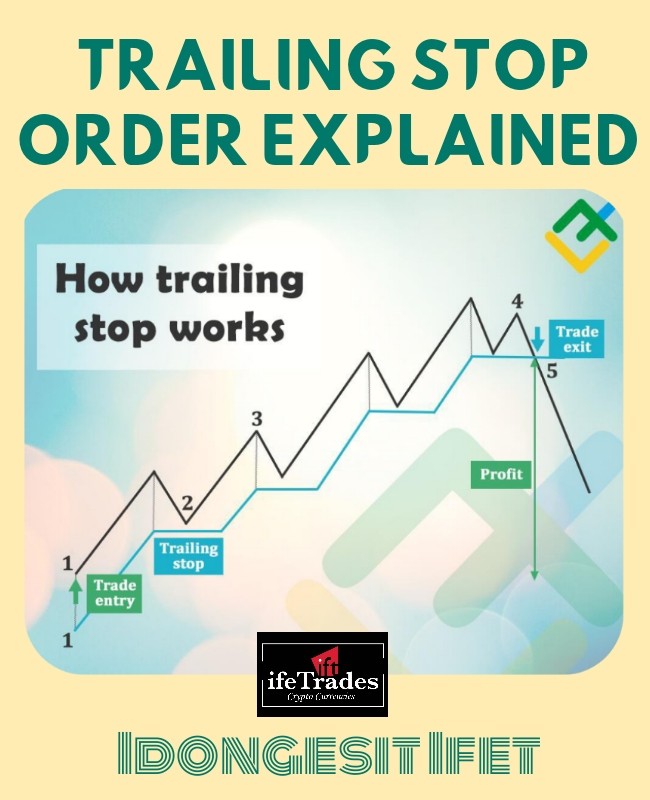 Buy TRAILING STOP ORDER EXPLAINED by Idongesit Victor Akpan on Selar