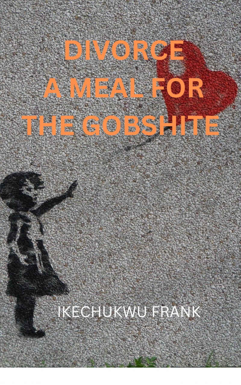 Buy DIVORCE A MEAL FOR THE GOBSHITE by PIKFRANK NIG LIMITED on Selar