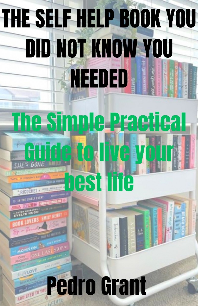 Get SELF HELP BOOK YOU DID NOT KNOW YOU NEEDED by Ismail Ibrahim on Selar