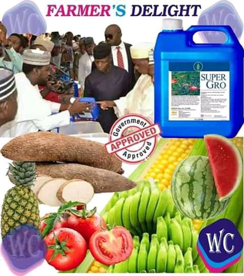 Buy 1 LITER SUPER GRO by NYSC on Selar