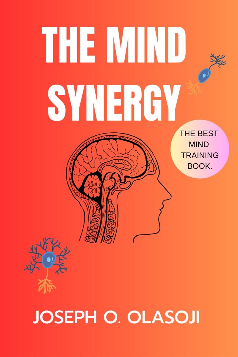 Buy THE MIND SYNERGY by Joseph Olasoji on Selar