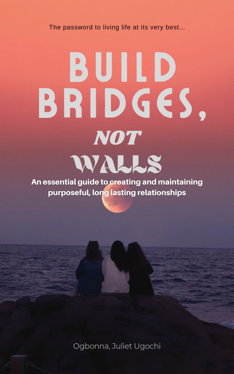 Buy Build Bridges, not Walls: An essential guide to creating and maintaining purposeful, long ...