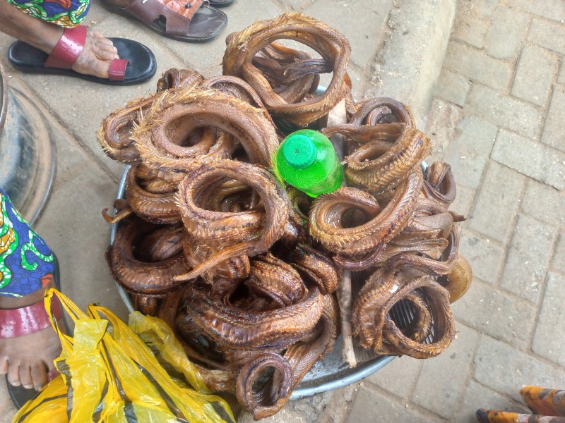 Buy Preparation of dry Snake Meat for soup. by Ugwueze Kenneth ...