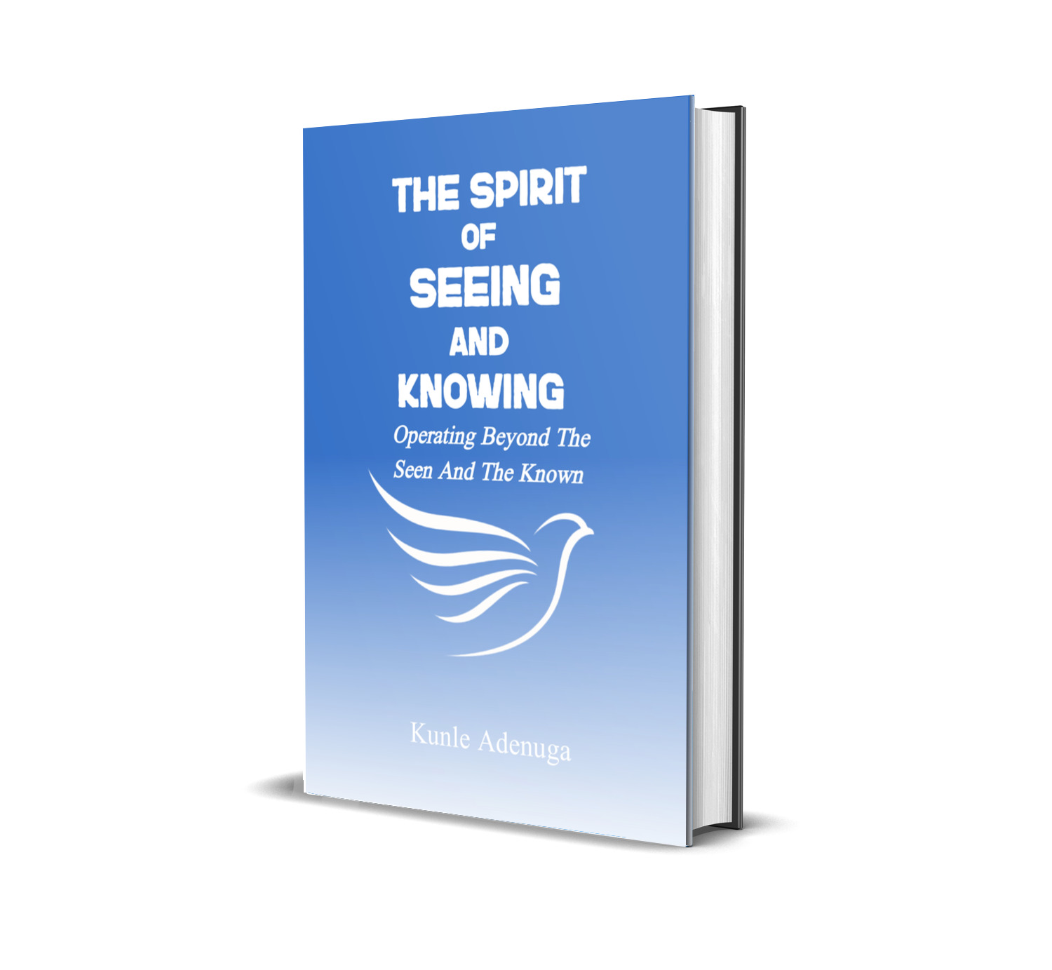 Buy The spirit of seeing and knowing by Kunle Adenuga on Selar