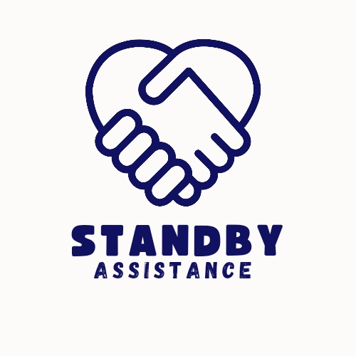 Subscribe Standby Assistance by Learn Abroad Connect on Selar