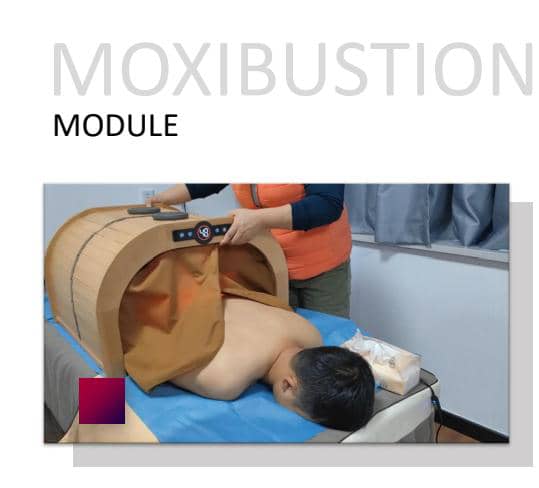Buy FAR INFRARED MOXIBUSTION MODULE by Linda marribelle on Selar