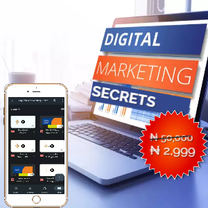 Buy Digital Marketing Secrets by StocksKit on Selar