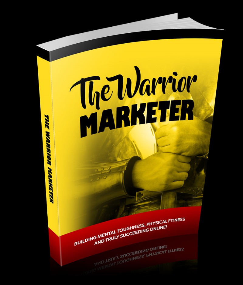 Buy The warrior marketer by Fatima Adamu Toro on Selar