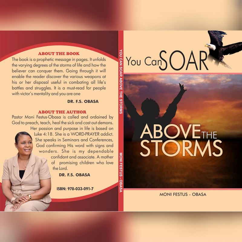 Buy You Can Soar Above The Storms by Monisola Obasa on Selar