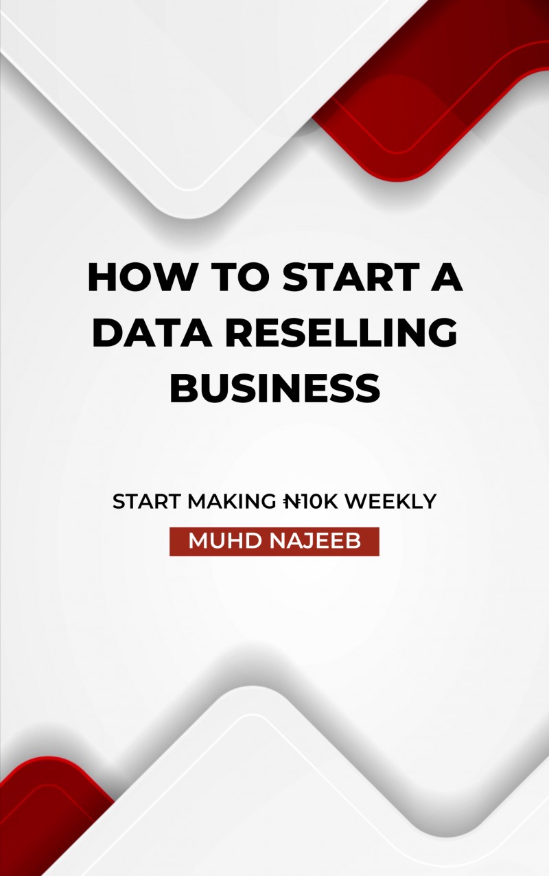 Buy How to start a data reselling business by Muhammad Najeeb ...