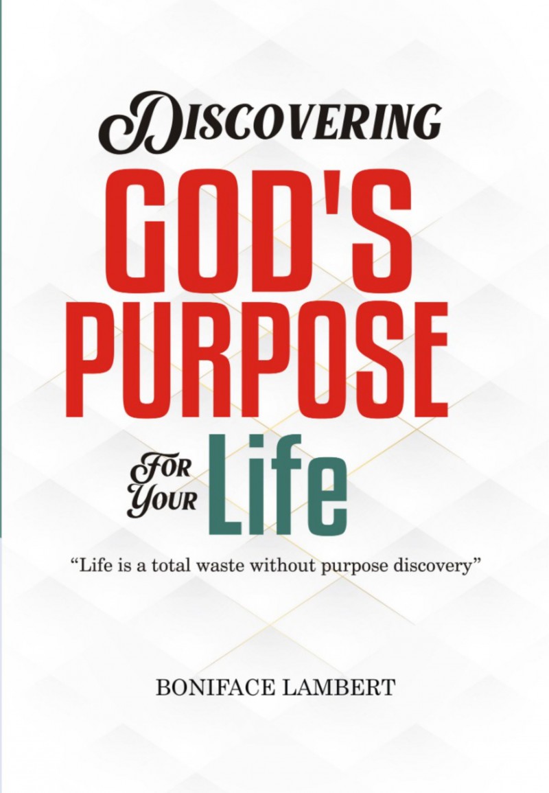 Buy DISCOVERING GOD'S PURPOSE FOR YOUR LIFE by Ndubuisi Emaefula on Selar