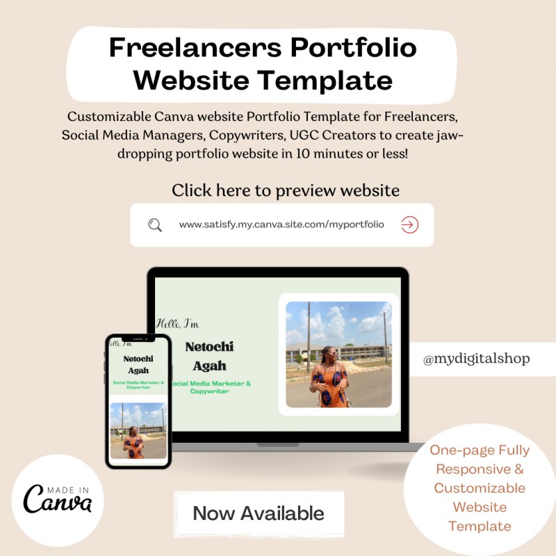 Buy The Freelancer Website Portfolio Template by Netochi Agah on Selar